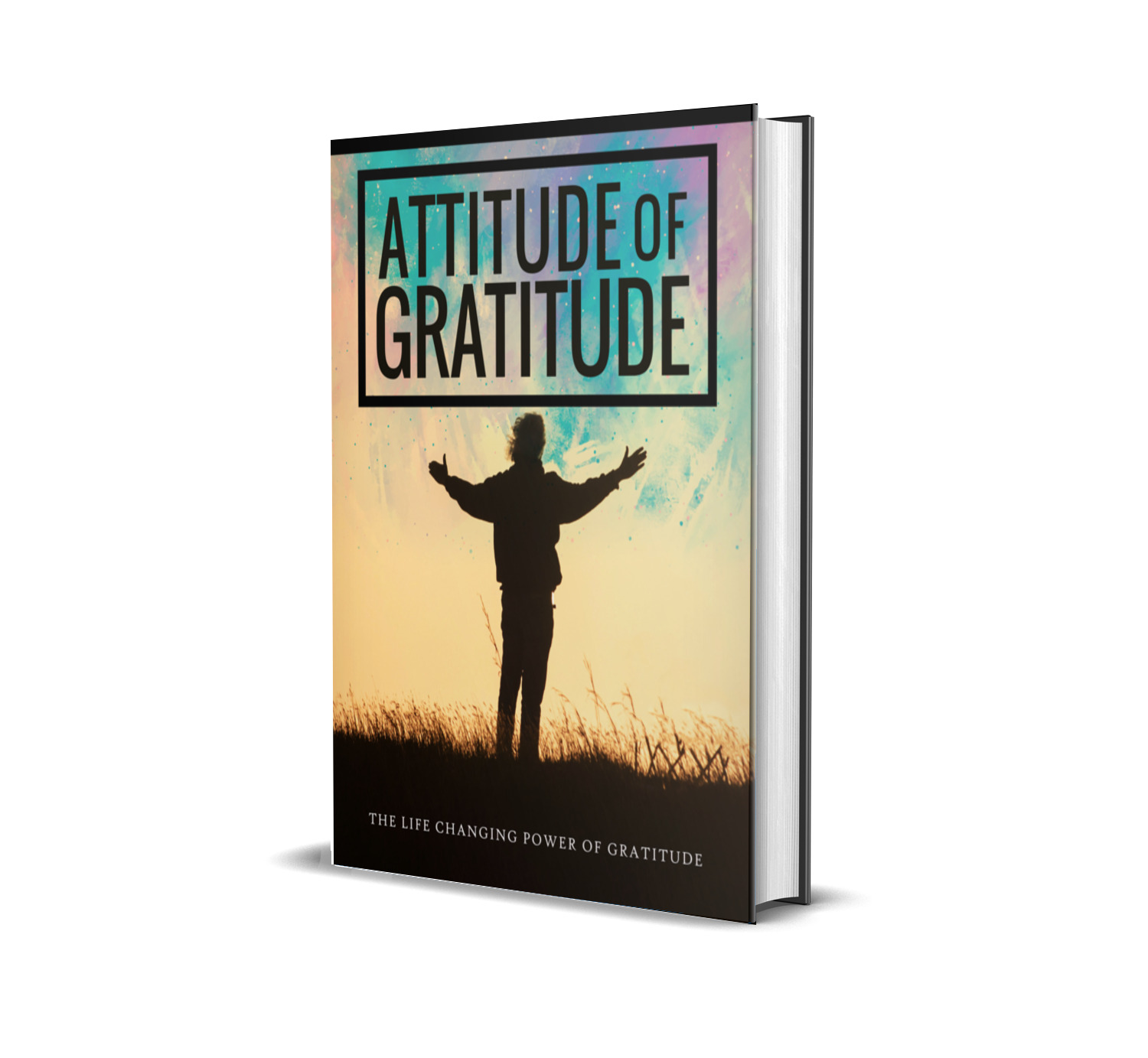 Attitude of Gratitude – FORMACCIÓN
